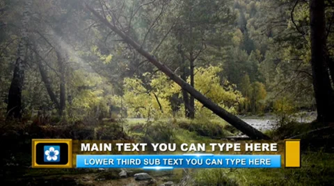 Double Line Lower Third ~ After Effects Project #32383019