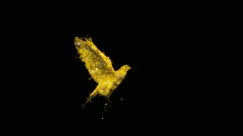 Dove RGB Alpha | Stock Video | Pond5