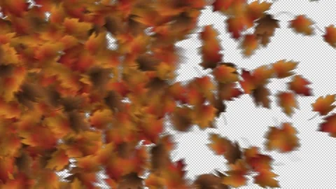 Video Transition Download Stock Footage ~ Royalty Free Stock Videos | Pond5