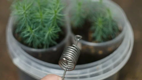 Dowsing Rods Stock Videos – Royalty-Free HD & 4K Videos