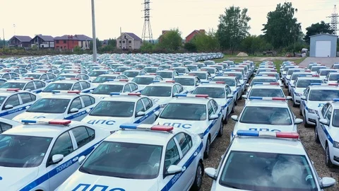 Dps Stock Footage ~ Royalty Free Stock Videos | Pond5