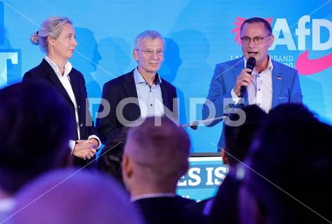 Dr. Alice Weidel, AfD, Brandenburgischen AfD-Spitzenkandidat, Hans ...