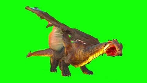 Dragon Green Screen Stock Footage ~ Royalty Free Stock Videos | Pond5
