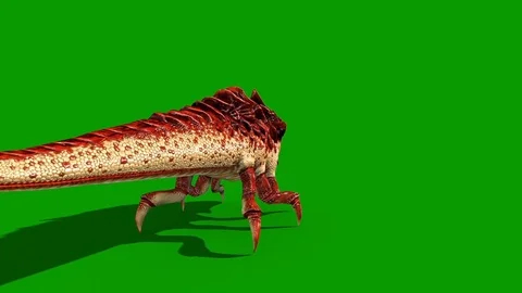 Dragon Bug Green Screen Halloween Monste... | Stock Video | Pond5