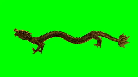 Chinese Dragon Fly Stock Videos – Royalty-Free HD & 4K Videos
