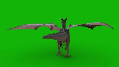 Flying Dragon Green Screen Stock Video Footage | Royalty Free Flying ...