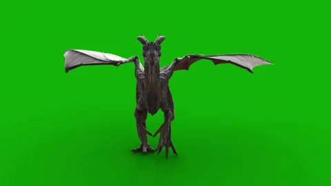 Flying Dragon Green Screen Stock Video Footage | Royalty Free Flying ...
