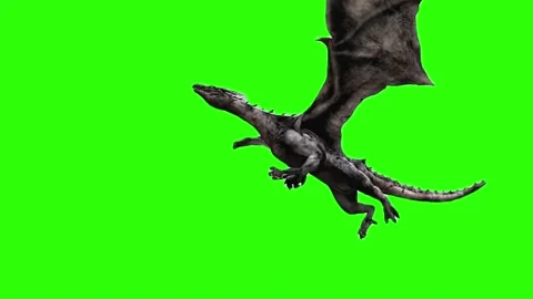 dragon green screen - dragon chroma key ... | Stock Video | Pond5
