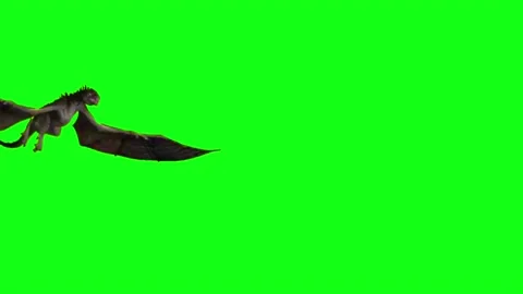 dragon green screen - dragon chroma key | Stock Video | Pond5
