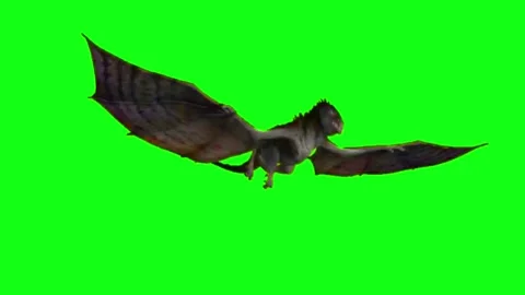 dragon green screen - dragon chroma key | Stock Video | Pond5