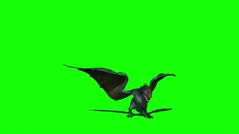 dragon green screen - dragon chroma key | Stock Video | Pond5