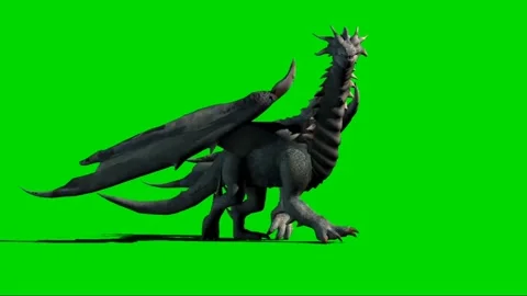 Dragon Green Screen Stock Footage ~ Royalty Free Stock Videos | Pond5