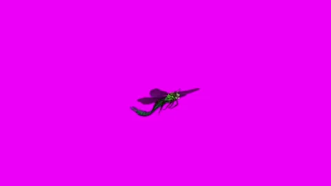Dragonfly Bite Pink Screen Animation 4K ... | Stock Video | Pond5