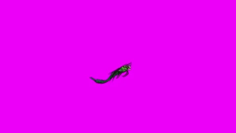 Dragonfly Bite Pink Screen Animation 4K ... | Stock Video | Pond5