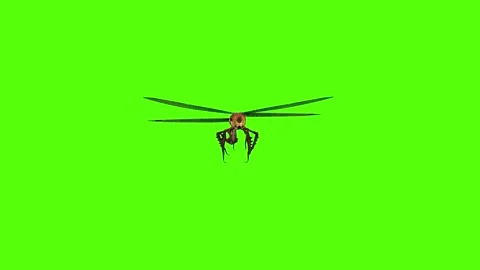Dragonfly Flying idle Green Screen Anima... | Stock Video | Pond5