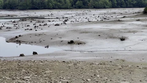 Off The Damk Stock Video Footage | Royalty Free Off The Damk Videos | Pond5