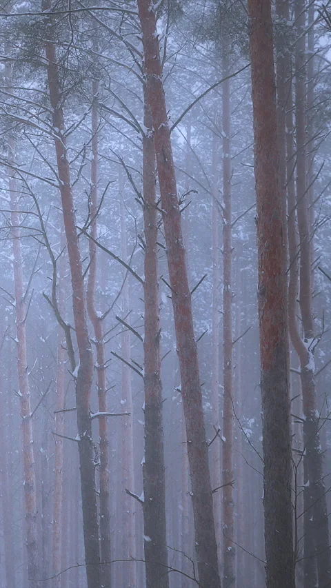 Scary Fall Scene Stock Videos – Royalty-Free HD & 4K Videos | Page 4