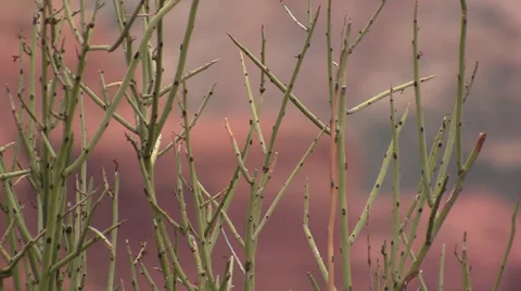 A dramatic zoom out reveals a fantastic ... | Stock Video | Pond5