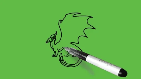 Animal Feets Stock Videos – Royalty-Free HD & 4K Videos