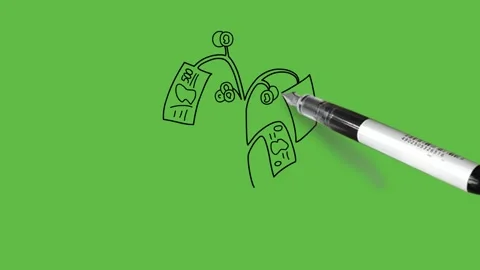 draw money plant grow in pot with black ... | Stock Video | Pond5