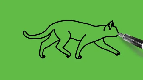 Draw running cat in light and dark blue ... | Stock Video | Pond5