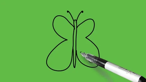 Green Butterfly Drawing Stock Videos – Royalty-Free HD & 4K Videos