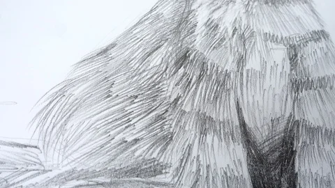 Realistic Cat Drawing Stock Videos – Royalty-Free HD & 4K Videos | Pond5