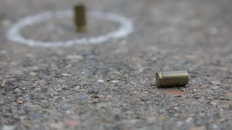 Shells Outline Stock Footage ~ Royalty Free Stock Videos | Pond5