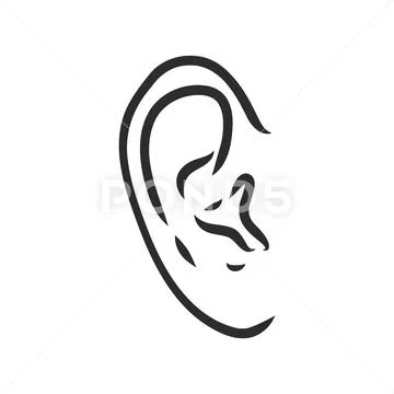 Drawing human ear ear vector sketch on a white background Illustration ...
