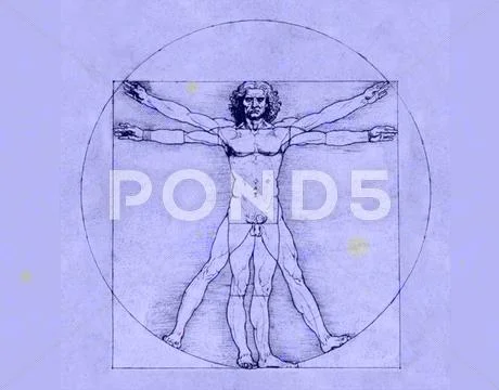 Drawing by Leonardo da Vinci on blue background, Vitruvian Man ...