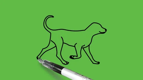 Dog Running Drawing Stock Videos – Royalty-Free HD & 4K Videos | Pond5