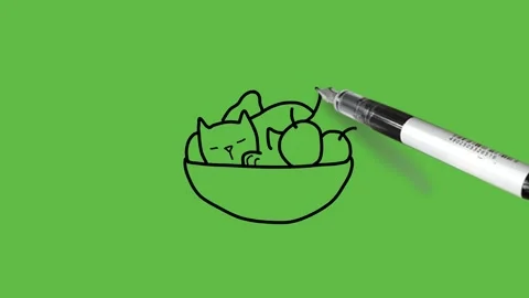 Sleeping Cat Drawing Stock Videos – Royalty-Free HD & 4K Videos