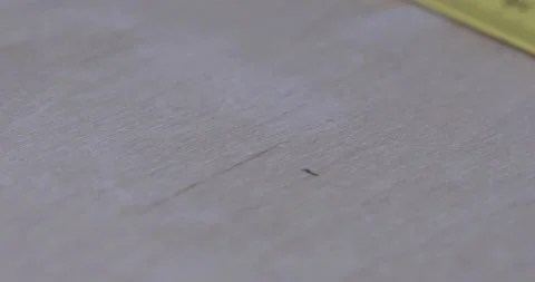 Drawing a straight line with ruler and p... | Stock Video | Pond5