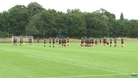 "A dream come true", women's Euro 2025 r... | Stock Video | Pond5