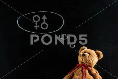 The Dream Of A Teddy Bear Teddy Bear With Home Sex Symbol ~ Premium