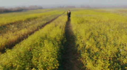 Picture Perfect Landscape Stock Videos – Royalty-Free HD & 4K Videos