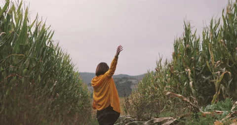 Dreaming Picture Stock Videos – Royalty-Free HD & 4K Videos | Pond5