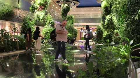 Dreamscape garden inside Changi Airport ... | Stock Video | Pond5