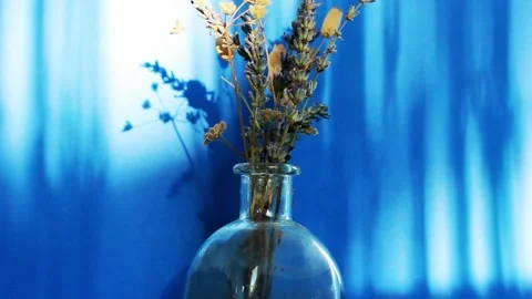 Blue Flowers Aesthetic Stock Videos – Royalty-Free HD & 4K Videos