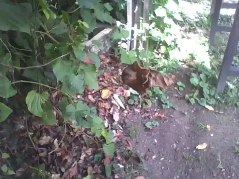 Great Clips Air Stock Videos – Royalty-Free HD & 4K Videos | Pond5