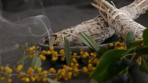 Smudging Sage Stock Videos – Royalty-Free HD & 4K Videos