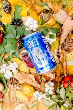 Drink Pepsi in a glass tin bottle on autumn yellow green foliage of trees ~ Hi Res #172430273