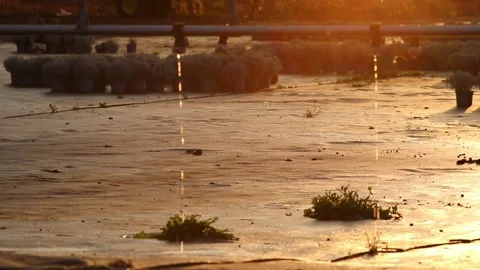 Dripping irrigation system with dripping... | Stock Video | Pond5