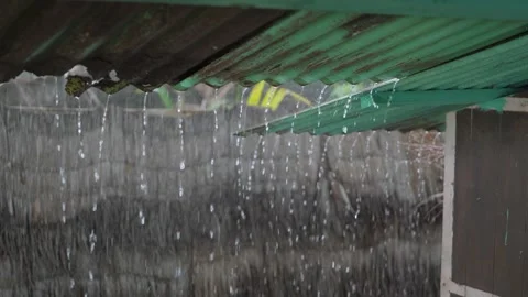 Dripping rainwater during tropical storm... | Stock Video | Pond5
