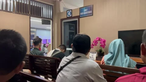 Drivers License Government Stock Video Footage | Royalty Free Drivers ...