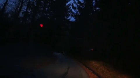 Driving car at night through dark forest... | Stock Video | Pond5