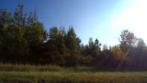Driving Past Forest Trees On Country Roa... | Stock Video | Pond5