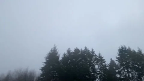 Driving Past Trees and Telephone Poles i... | Stock Video | Pond5