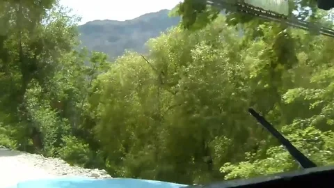 Driving Past Trees In Mountains - Pan Ri... | Stock Video | Pond5
