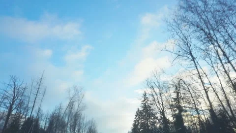 View Picture Stock Videos – Royalty-Free HD & 4K Videos | Pond5